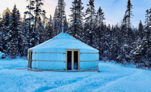 12 Best Yurts in Ontario To Rent For a Glamping Getaway - Yurt Trippers