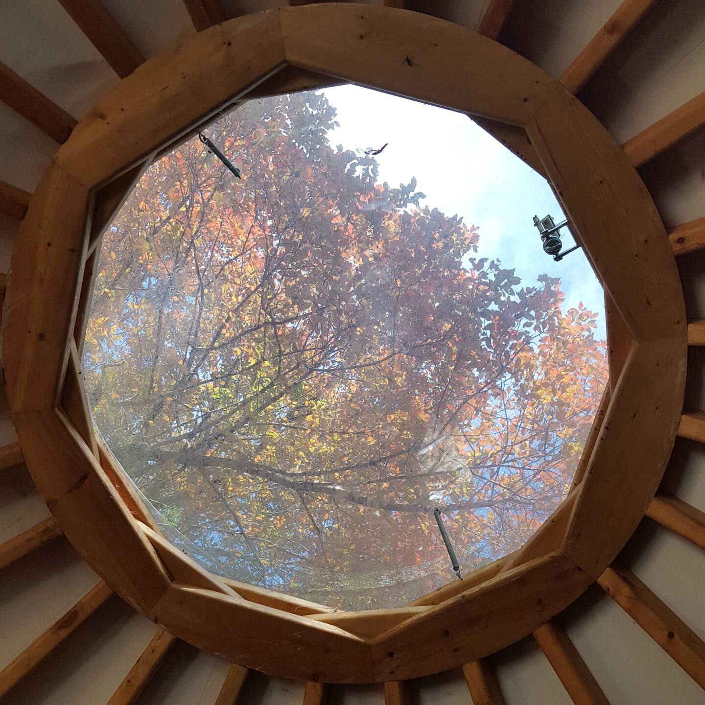 12 Best Yurts in Virginia To Rent For a Glamping Getaway - Yurt Trippers