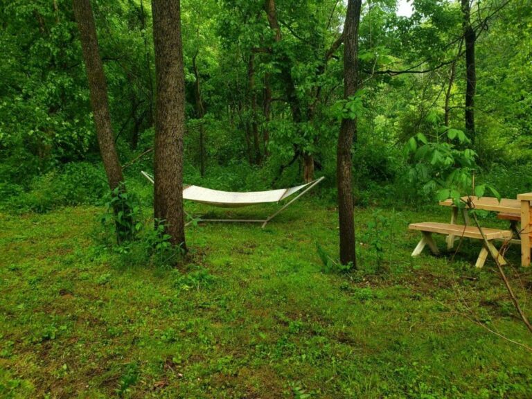12 Best Yurts in Ohio To Rent For a Glamping Getaway - Yurt Trippers
